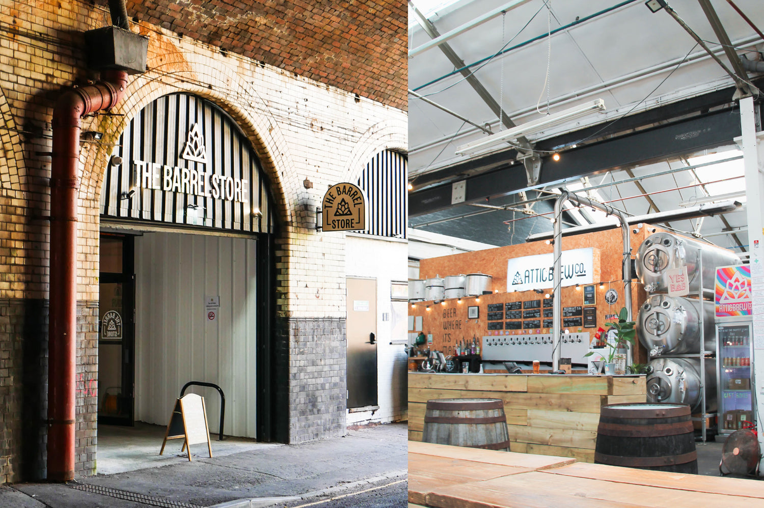 ATTIC BREW CO. – Attic Brew Co.